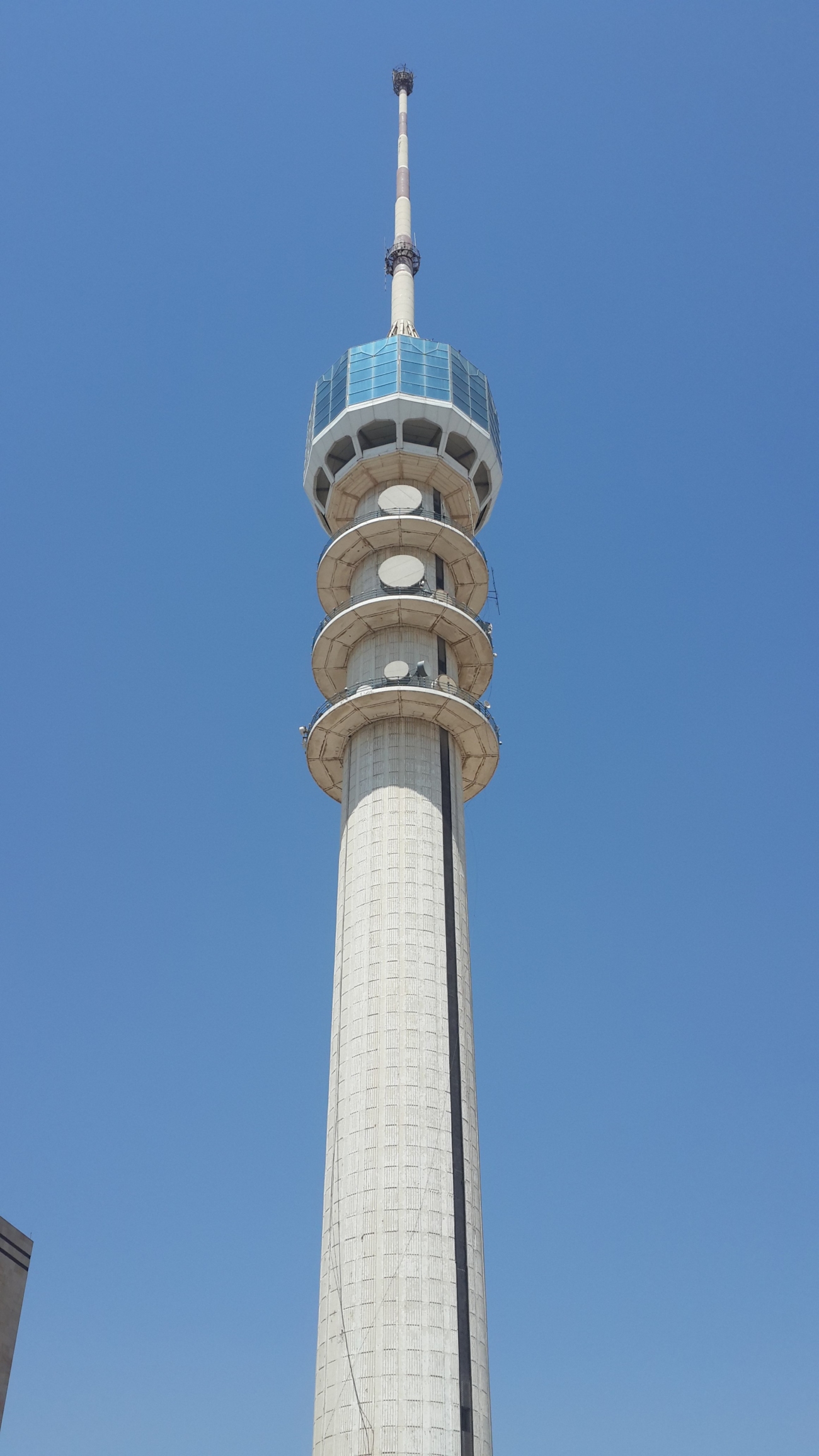 Pattern — Abbasid Palace Baghdad – Designed in Iraq