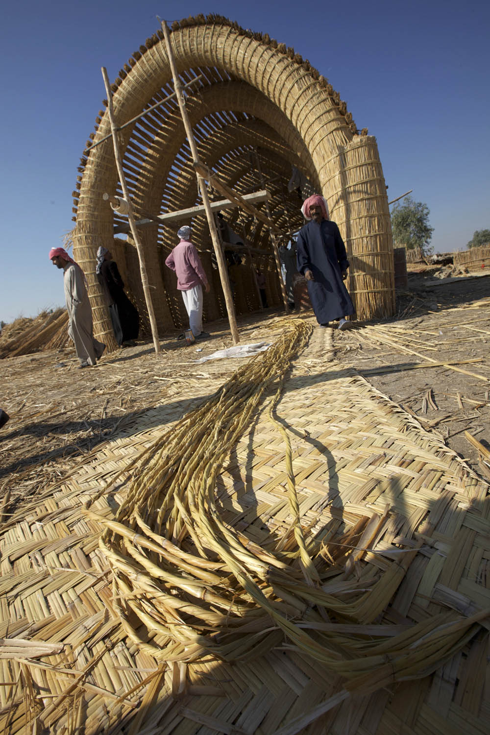 Shape — Mudhif: reeds houses – Designed in Iraq